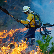 Beating back the fire | Buy Stock Photo on PeopleImages, Picture And ...