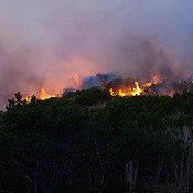 Fiery destruction | Buy Stock Photo on PeopleImages, Picture And ...