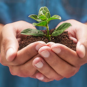 Nurturing new life | Buy Stock Photo on PeopleImages, Picture And ...