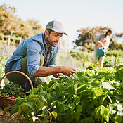 Reaping the rewards of his hard work | Buy Stock Photo on PeopleImages ...