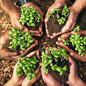 Growth and support | Buy Stock Photo on PeopleImages, Picture And ...