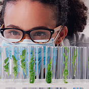 Closely observing the reactions of nature | Buy Stock Photo on ...