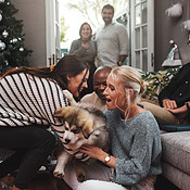 It's so fluffy! | Buy Stock Photo on PeopleImages, Picture And Royalty ...