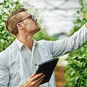 These little ones are growing faster than expected | Buy Stock Photo on ...