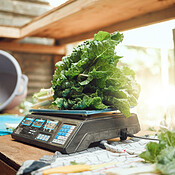 Grocery, agriculture and closeup of farmer scale to weigh vegetables ...