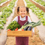 Child, girl or vegetables container on farm in agriculture export ...