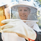Beekeeping, farm and woman beekeeper in the honey production industry ...