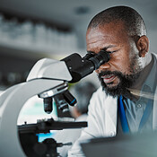 Black man scientist, microscope and lab analysis in biodiversity study, vision and research data ...