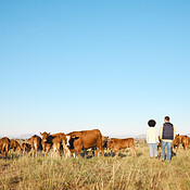 Couple, farm and animals in the countryside for agriculture, travel or ...