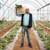 Farmer, portrait and harvesting vegetables in crate, greenhouse land or ...