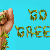 Sustainability, plant and environment with fist of person for go green ...