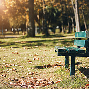 Park, bench and open with space with trees, mock up and summer for ...