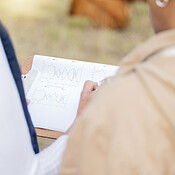 Paper, farmer or veterinarian writing checklist to monitor animals ...