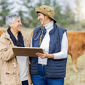 Cow, farmers or senior women with checklist on field for meat, beef or ...