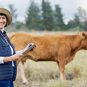 Farm, cow veterinary and portrait of woman with clipboard for ...