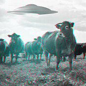 Alien, spaceship and UFO with cow on farm for fantasy, science fiction ...