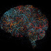 Brain graphic, neon neuro pattern and digital illustration with science ...