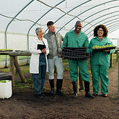 Farmer, teamwork and greenhouse plants, agriculture and sustainability ...