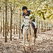 Happy woman on horse, riding in forest and running practice for ...