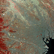 Satellite, earth and terrain of a Tokyo, Japan from above to map a ...