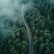 Highway, road and drone view of a path through the forest for vacation ...