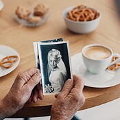 People, hands and photograph with memory at home for nostalgia, history ...