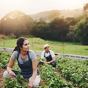 Doing their part | Buy Stock Photo on PeopleImages, Picture And Royalty ...