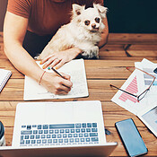 My best friend always wants to cuddle while I'm working | Buy Stock ...