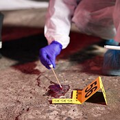 Person, hands and swab for investigation at crime scene, blood sample ...