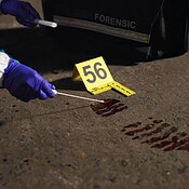Person, hands and swab for forensics at crime scene, footprint and ...