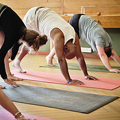 Yoga, downward dog and people stretching in class at the gym, pilates ...