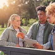 Farming, tablet and logistics with people and truck for vegetable ...