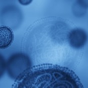 Microscope, virus and zoom of bacteria science technology in medical ...