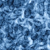 Bacteria particles, microscope and molecule zoom for science, biology ...