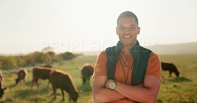 Cow, happy and girl farmer on a cattle farm harvesting organic cows ...