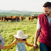 Farmer family, cow farm and field walk with girl and parents bonding in ...