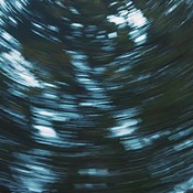 Nature, spinning circle and trees in forest, dizzy green leaves, blur ...