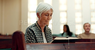 Church, bible or senior Christian woman ready to worship God, holy ...