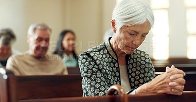 Church, bible or senior Christian woman ready to worship God, holy ...