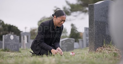 Sad woman, graveyard and crying with rose by tombstone in mourning ...