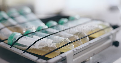 Closeup, science laboratory and shaker for test tubes, vibration plate ...