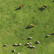 Free range animals are happy animals | Buy Stock Photo on PeopleImages ...