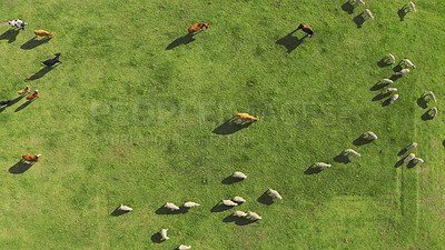 Free range animals are happy animals | Buy Stock Photo on PeopleImages ...