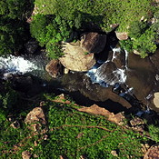 Can't help but adore nature | Buy Stock Photo on PeopleImages, Picture ...