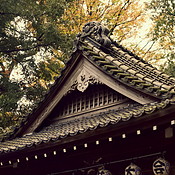 Japanese, temple and building for praise religion or worship, peace or ...