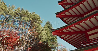 Sun, leaves and tree with Japanese temple, environment and landscape ...