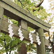 Torii gate, shide and temple in forest in Japan with zen, spiritual ...