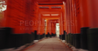 Spiritual, path and time lapse in tori gates with travel, adventure and ...