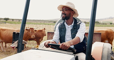 Farm, cows and black man driving tractor for agriculture, growth or ...