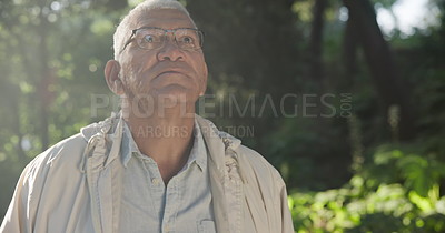 Senior man, hiking and thinking in forest with sunrise, peace and calm ...